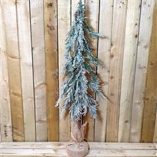 Iced Angel Pine Tree