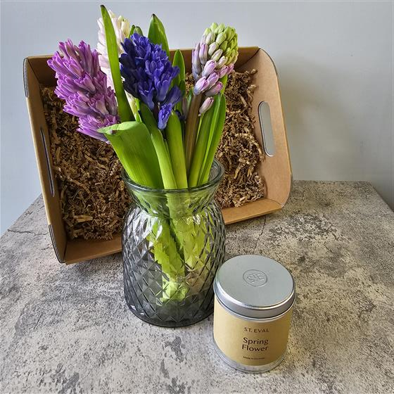 The 'Hyacinth' Gift Set